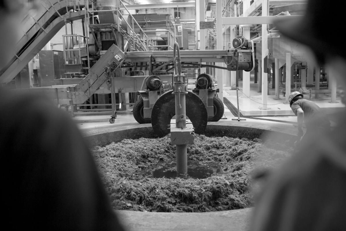 What is a Tahona Wheel: Know the Origin of the Finest Tequila